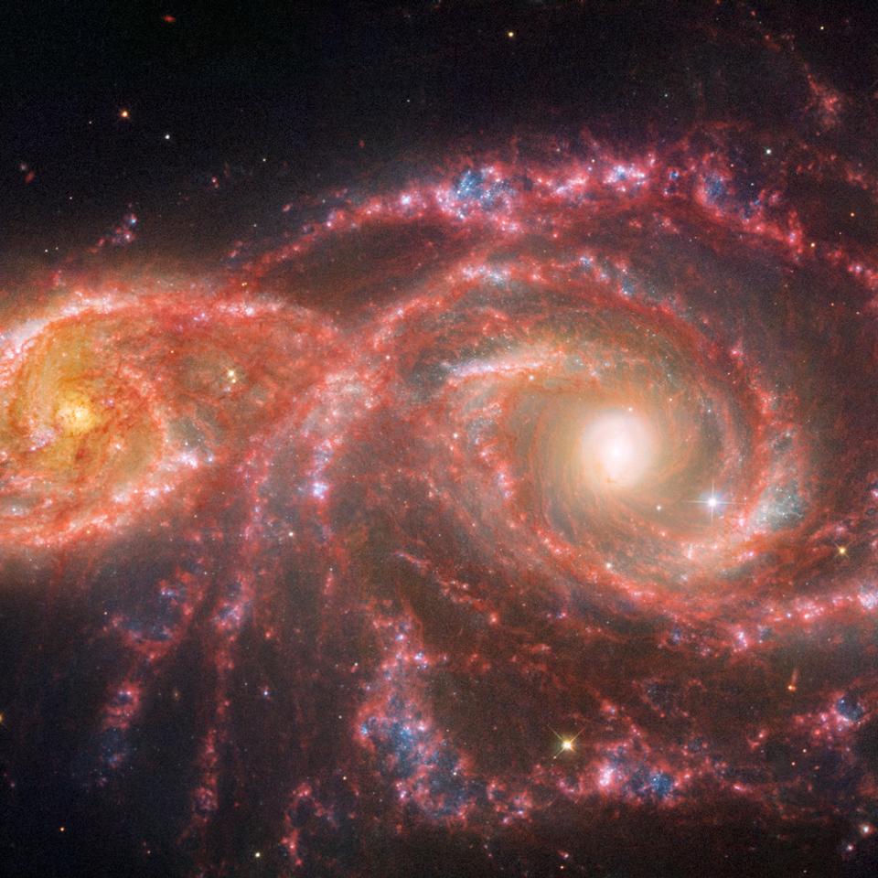 Définition | Biotechnologie blanche : qu'est-ce que c'est ? | Futura sciences